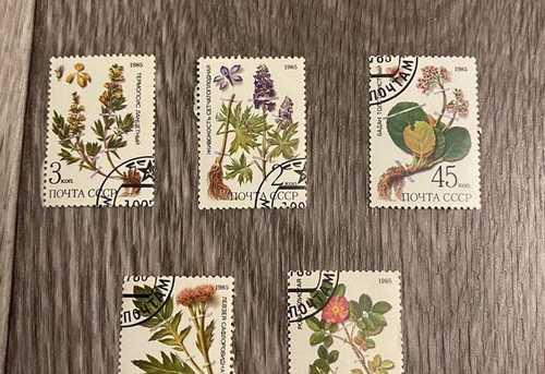 Почтовые марки «Цветы»