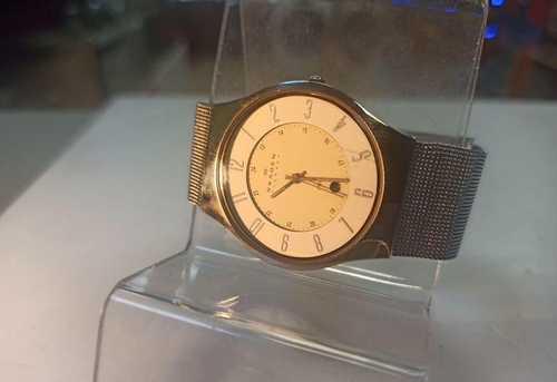Мужские наручные часы Skagen 233xlss