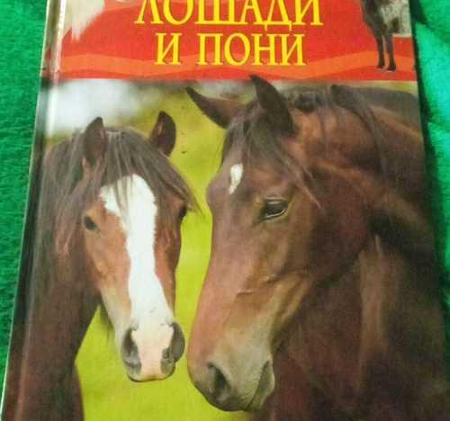 Книга (Энциклопедия) про лошадей и пони