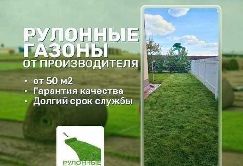 Рулонный газон. От производителя