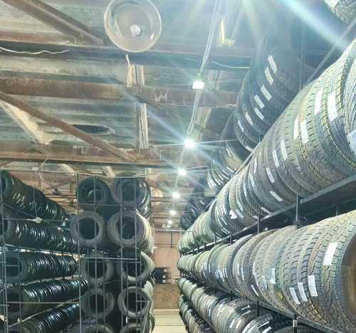 Delinte Winter WD1 215/55 R16 97S