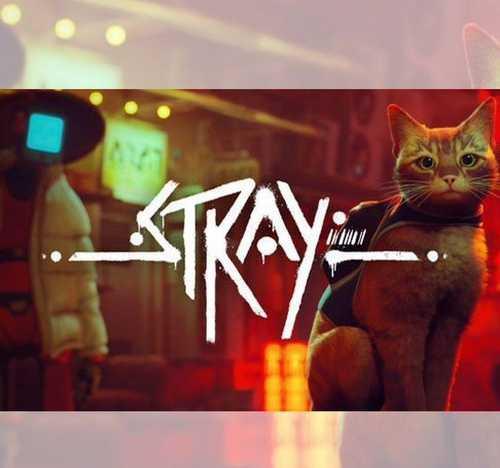 Stray PS4/PS5