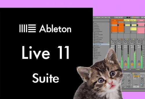 Ableton Live 11 Suite