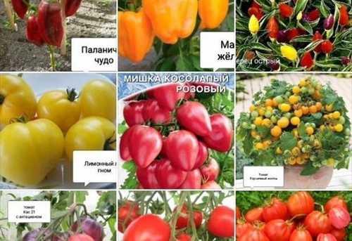 Набор семян томатов и перца