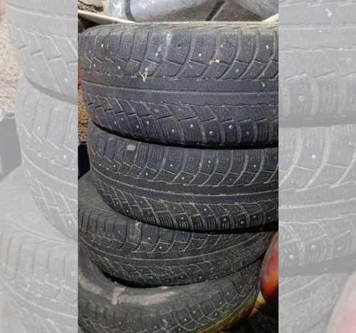 Gislaved Nord Frost V 195/65 R15