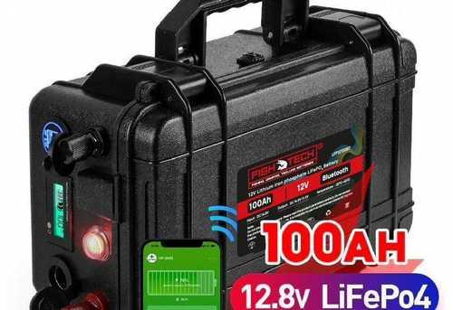 Аккумулятор для электромотора LiFePo4 12V 100 a/h
