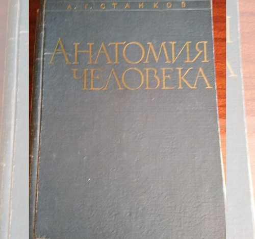 Атлас анатомии человека Станков