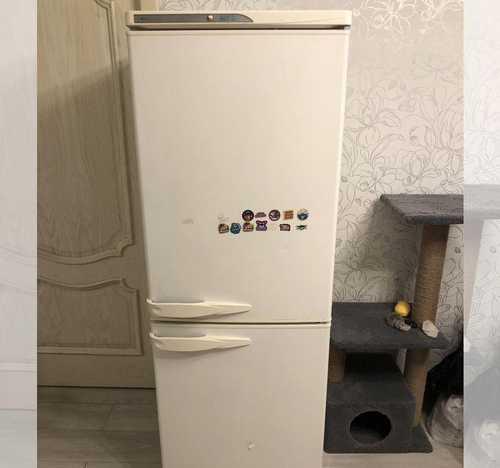 Холодильник stinol