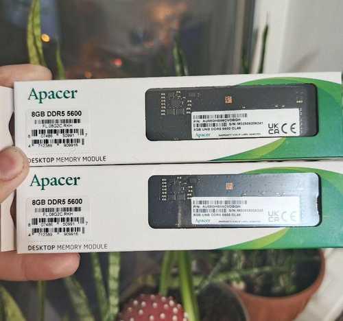 Новая память Apacer DDR5 16GB 5600MHz