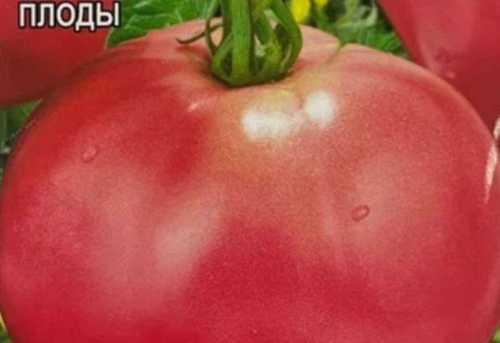 Рассада помидор,капусты