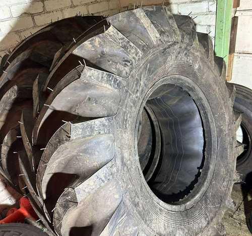 Продам шины Белшина ияв 79