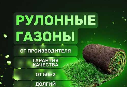 Рулонный газон. Универсален для любой задачи