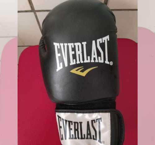 Пакистан Тайские перчатки Everlast 12 oz