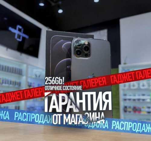 iPhone 12 Pro Max, 256 ГБ