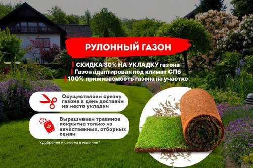 Рулонный газон Универсальный для участка