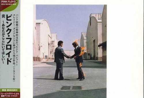 Pink floyd - Wish You Were Here (CD, Japan)