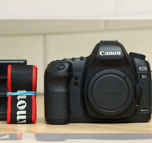 Canon 5D mark II (22 тыс. кадров)