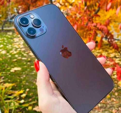 iPhone 12 Pro Max, 256 ГБ