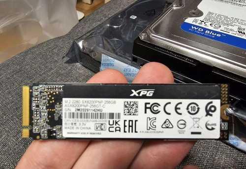 SSD M2 и HDD 3.5