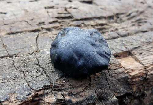 Липецкий метеорит Озерки 14 грамм