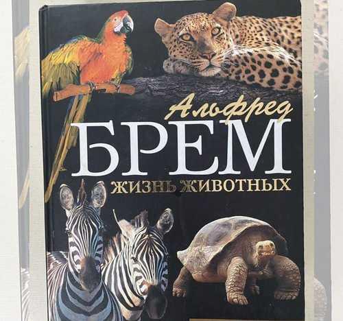 Книга энциклопедия Брем Жизнь животных