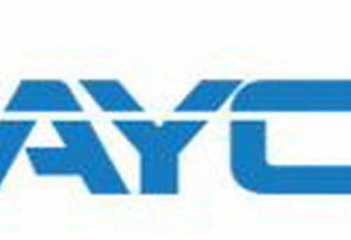 Dayco XTX5046 belt drive XTX5046 ремень вариатора