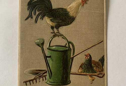 Старинная открытка "Петух на лейке"