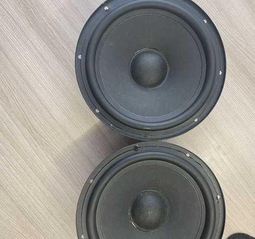 Pride harmony 6.5
