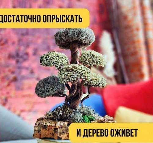 Исландский мох. Деревце ручной работы