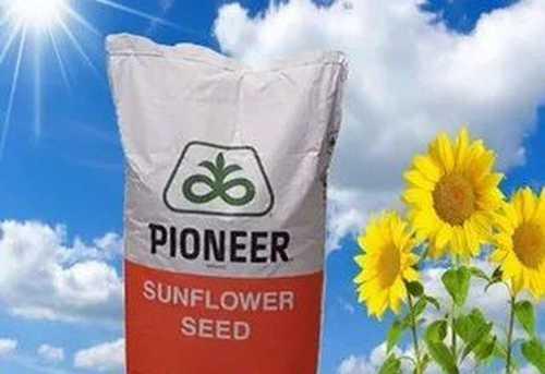 Гибриды семена подсолнечника Пионер (Pioneer)