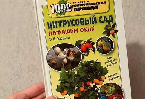 Венедикт Дадыкин: Цитрусовый сад на вашем окне
