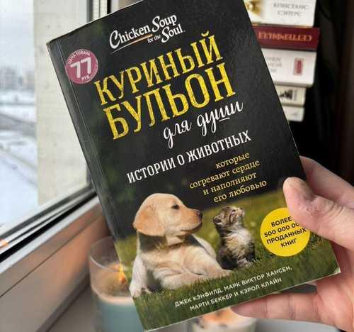 Куриный бульон для души