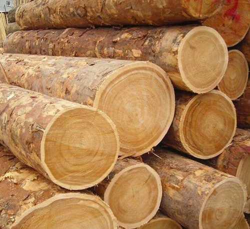 Сосна кругляк: деловая древесина(26-46см)