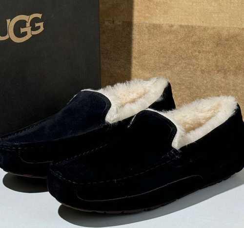 UGG Mens Ascot Black