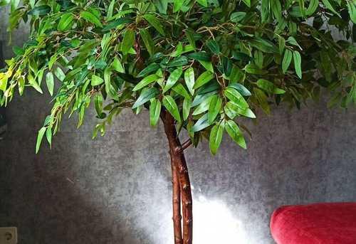 Искусственные деревья фикусы манго бамбук