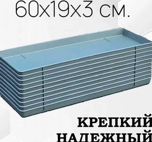 Поддон для рассады