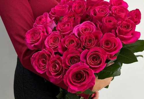 Розы Pink Floyd, розы оптом, цветы