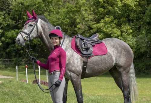 Вальтрап конкурный LeMieux