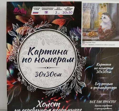 Картина по номерам, размер 30*30 см