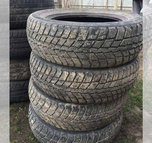 Nexen Winguard 231 185/65 R15 88