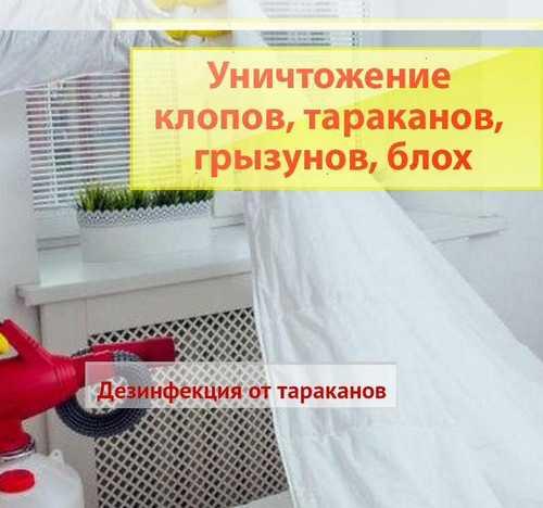 Уничтожение клопов тараканов