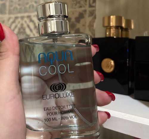 Мужская туалетная вода aqua cool 100ml