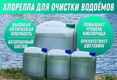 Живая водоросль от производителя