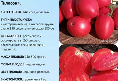 Семена сердцевидные сортов томата