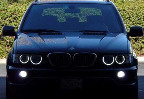 Ангельские глазки в фары на BMW X5 E53