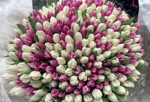 Тюльпан-Букет цветы