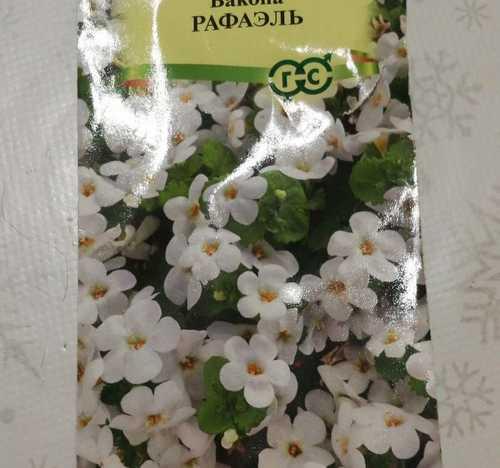 Бакопа и др, рассада