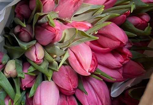 Тюльпаны к 8 марта цветы