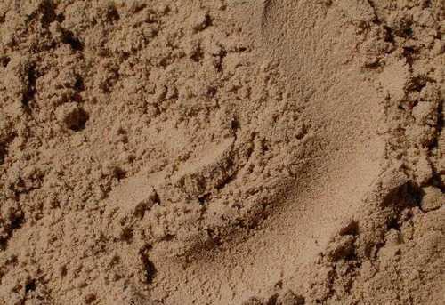 Плодоpoдный гpунт (песок)