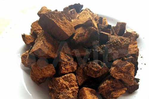 Чага (Березовый гриб)